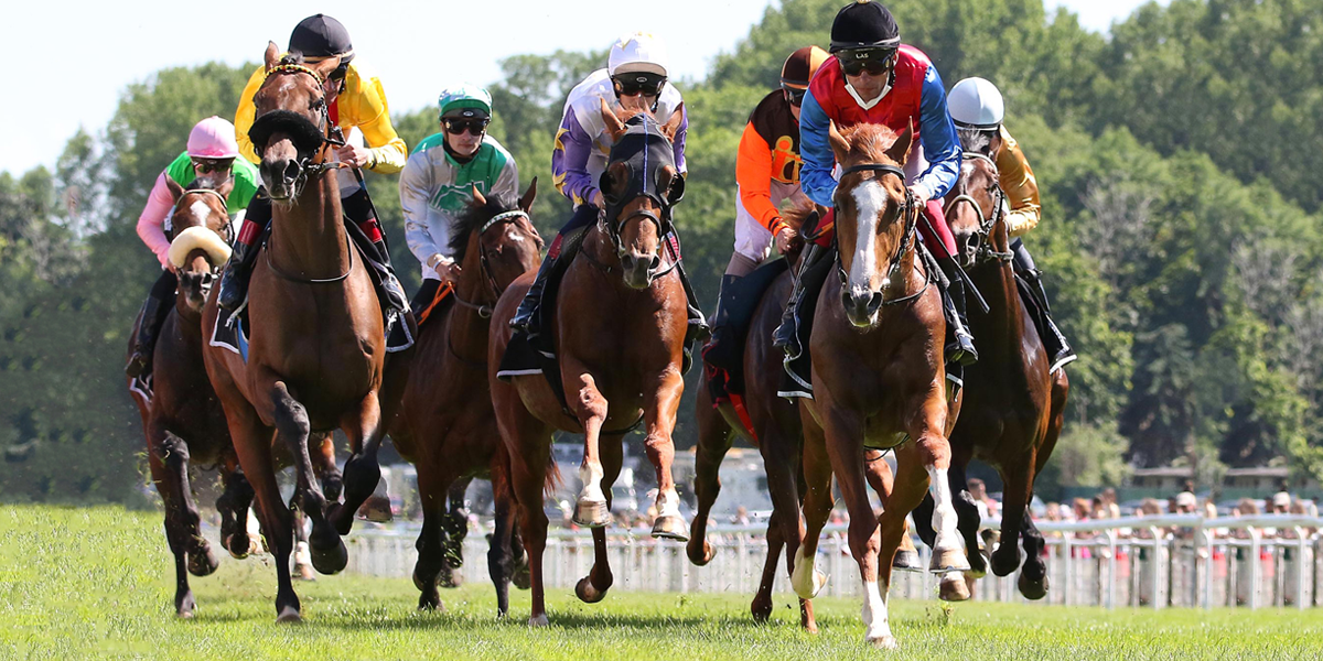 RaceBets Aktionen in Köln