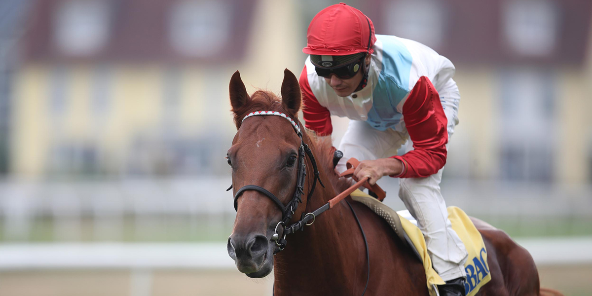Die RaceBets Aktionen auf Tünnes
